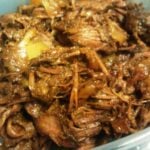 Easy Shredded Beef - PaleOMG.com