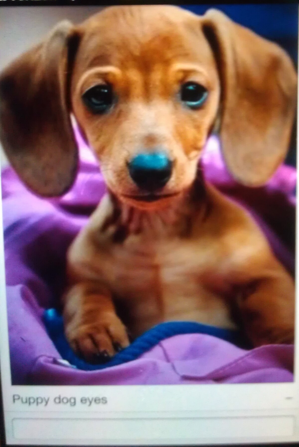 JB's Addictions of the Week - PaleOMG