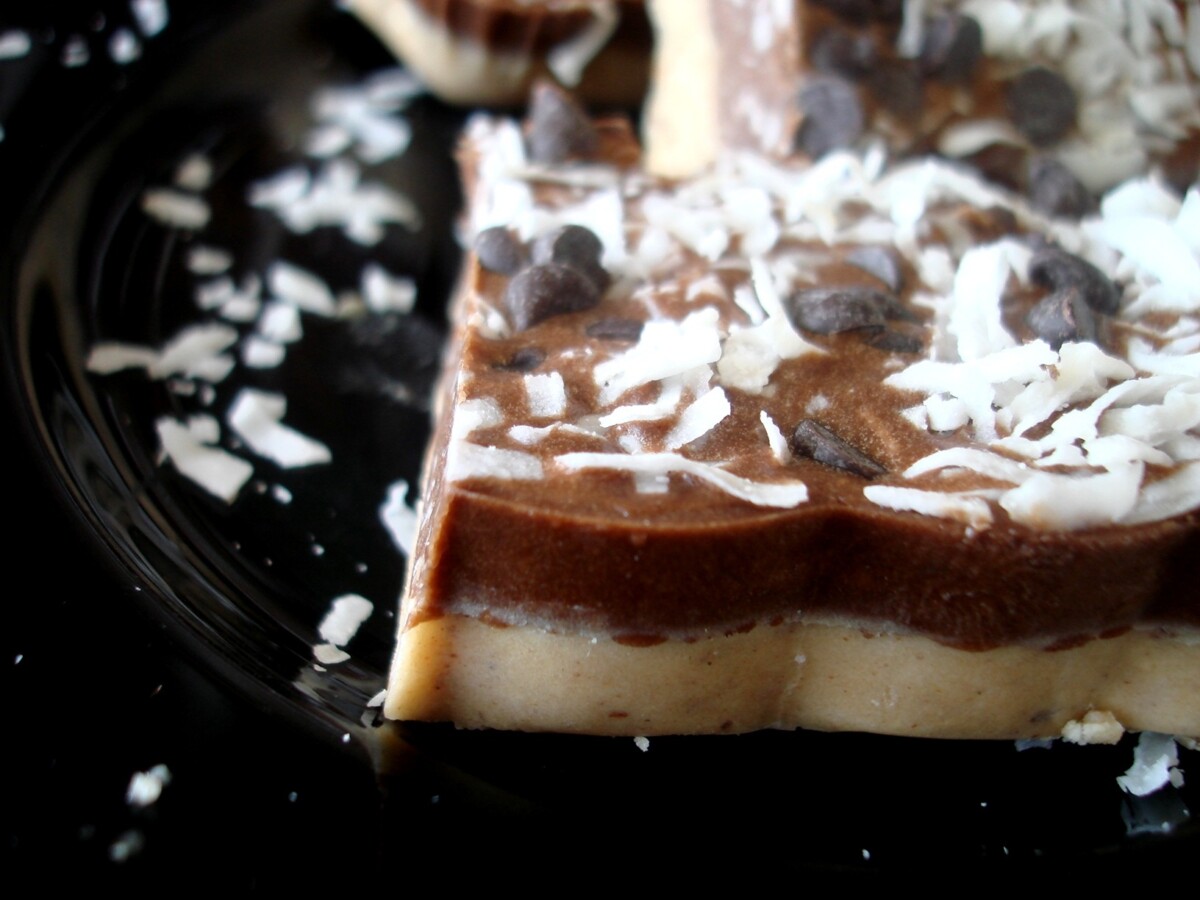 Double Layer Fudge - PaleOMG