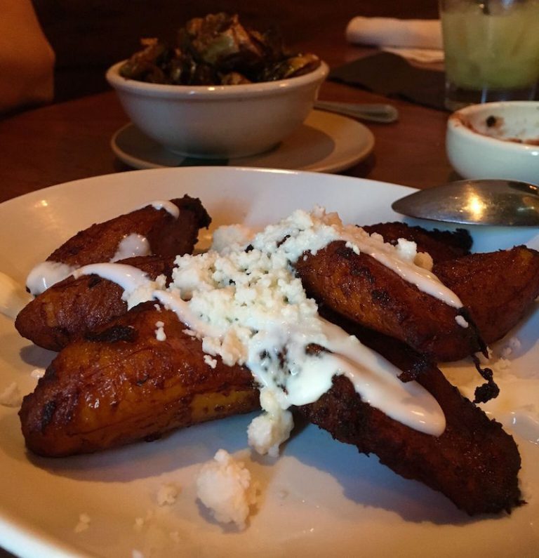 Visiting the NEW Dallas - PaleOMG