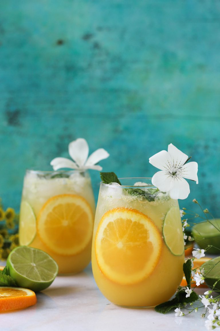 Citrus Mint Vodka Spritzer - PaleOMG