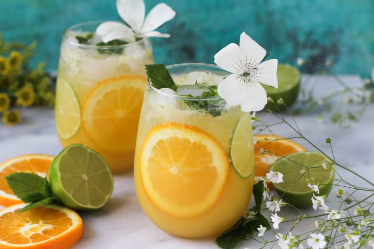 Citrus Mint Vodka Spritzer - PaleOMG