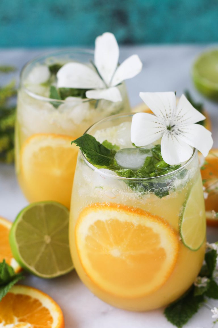 Citrus Mint Vodka Spritzer - PaleOMG
