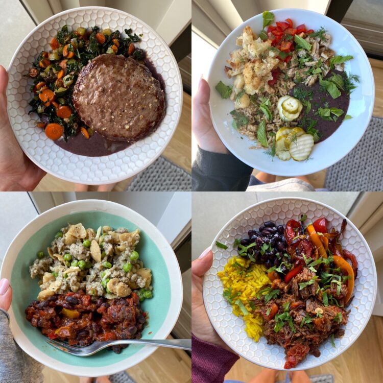 3-Month Bean Protocol Recap - PaleOMG