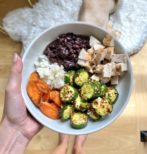 1 Year on the Bean Protocol - PaleOMG