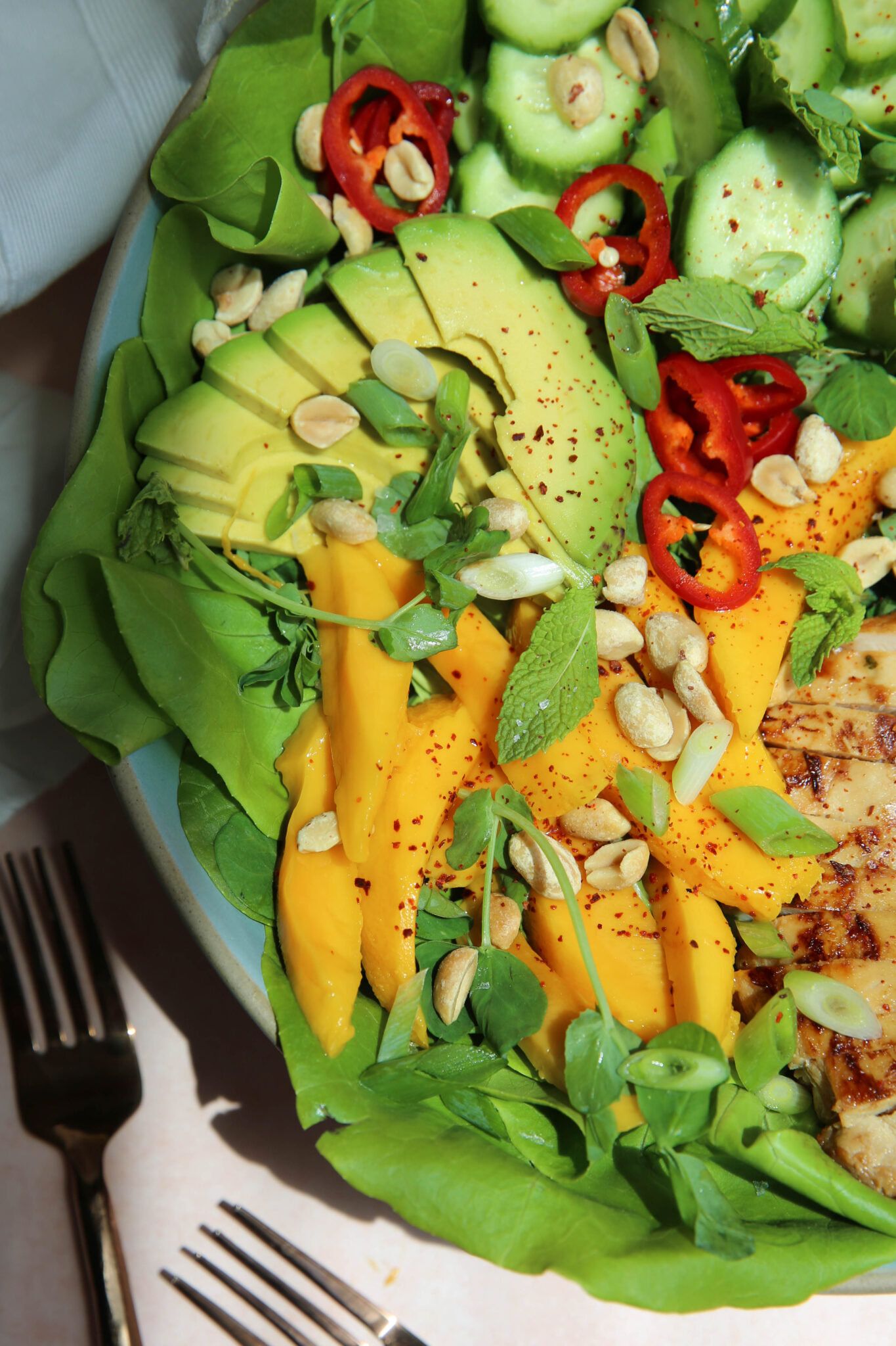 Thai Chicken Mango Salad - PaleOMG