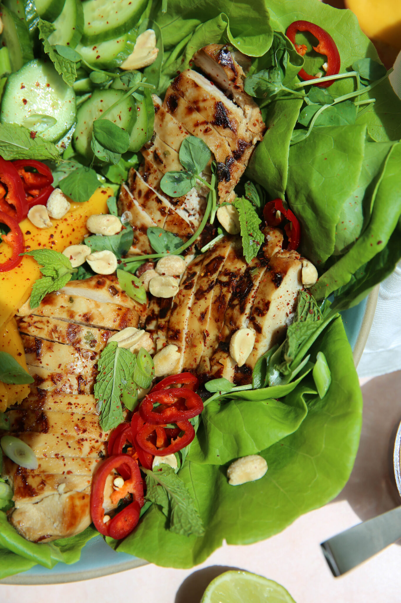 Thai Chicken Mango Salad - PaleOMG