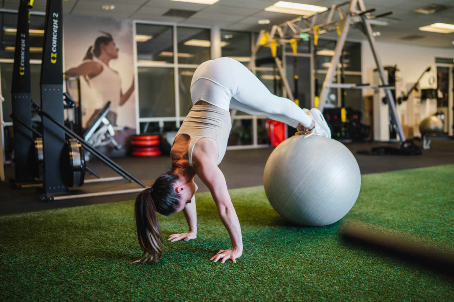 The New ELEVATE Program Has Launched! - PaleOMG