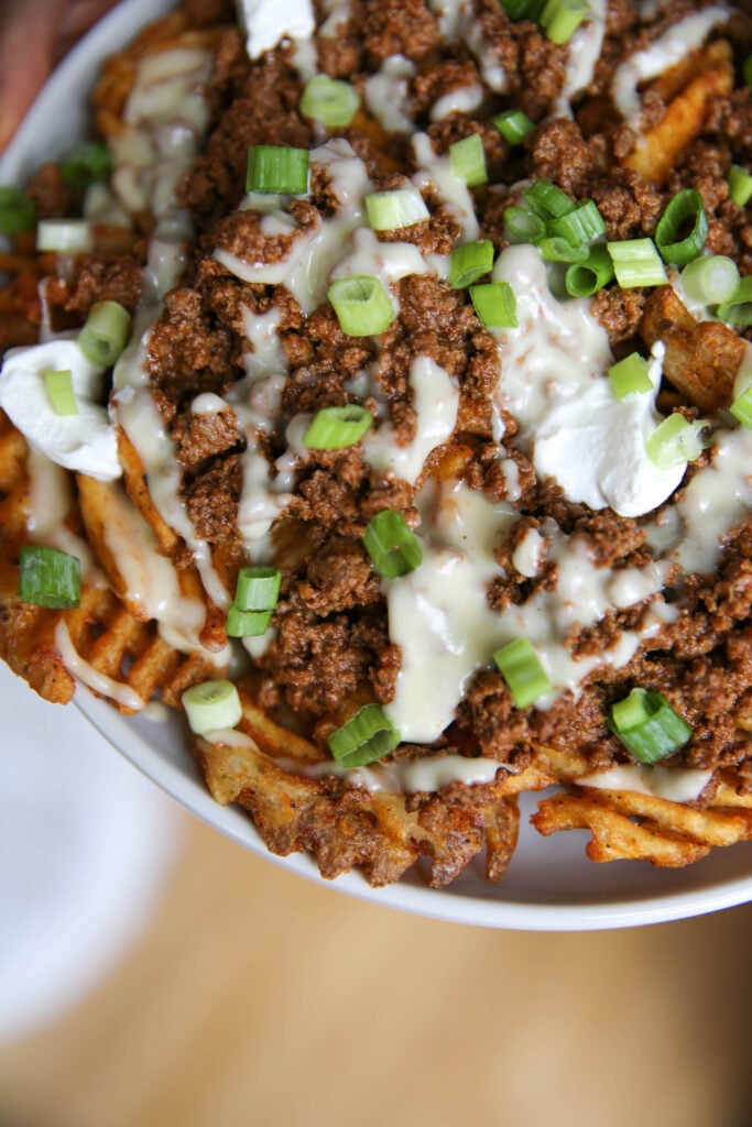 Nacho Fries - PaleOMG