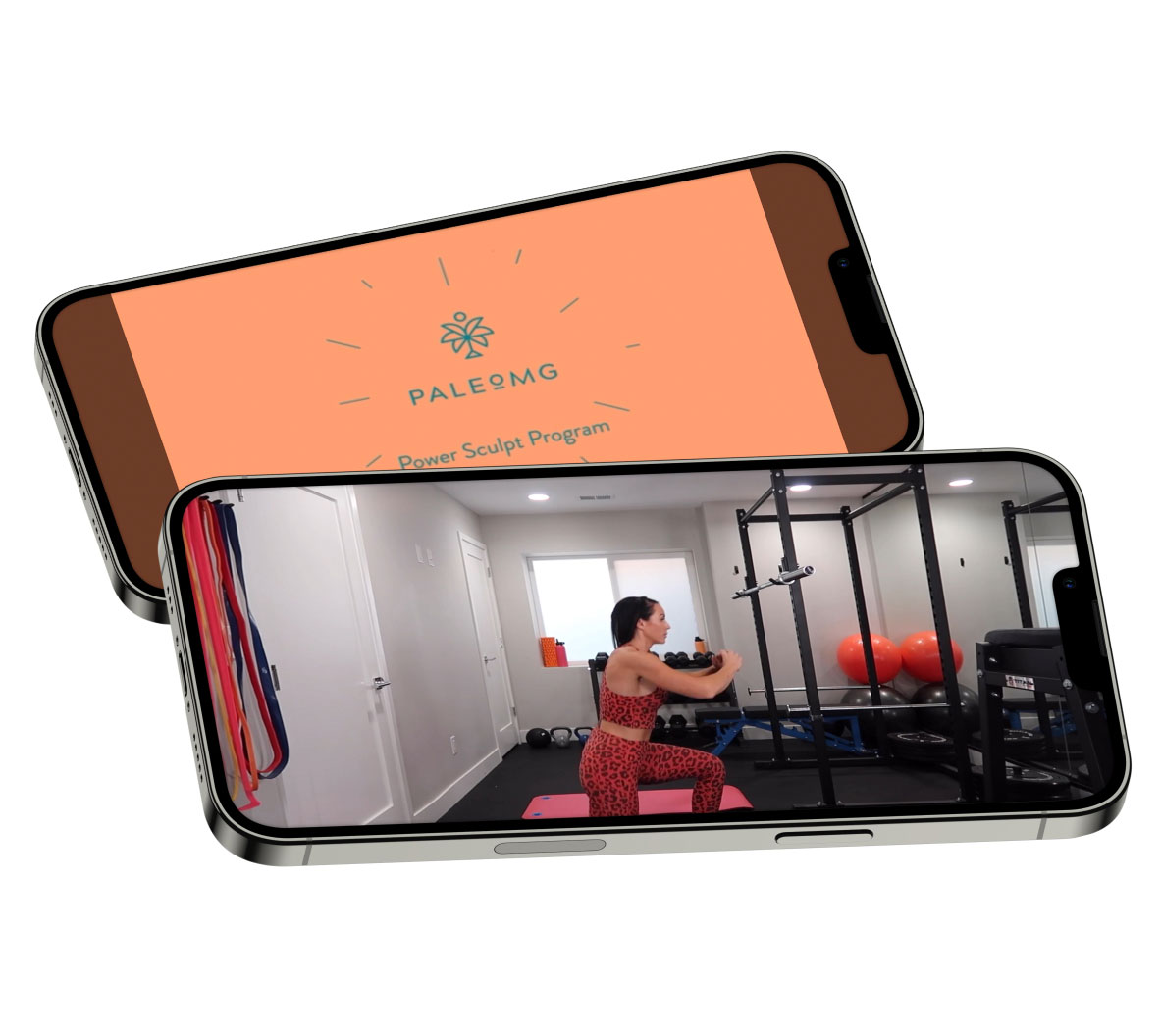 Power Sculpt Program - PaleOMG